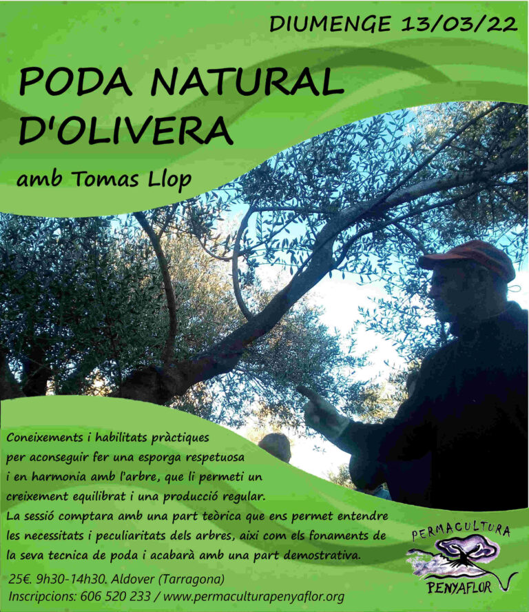 13/3 Poda natural con Tomas Llop - Permacultura Penyaflor